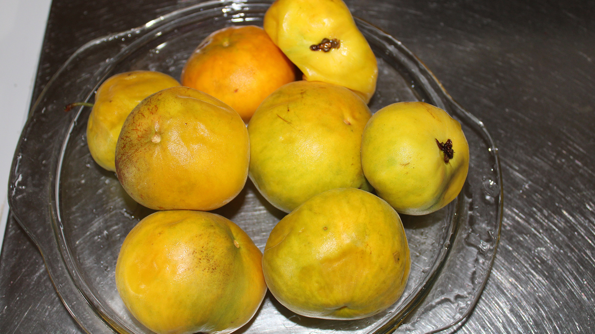 Postre de arazá, dulce sabor de la Amazonía colombiana