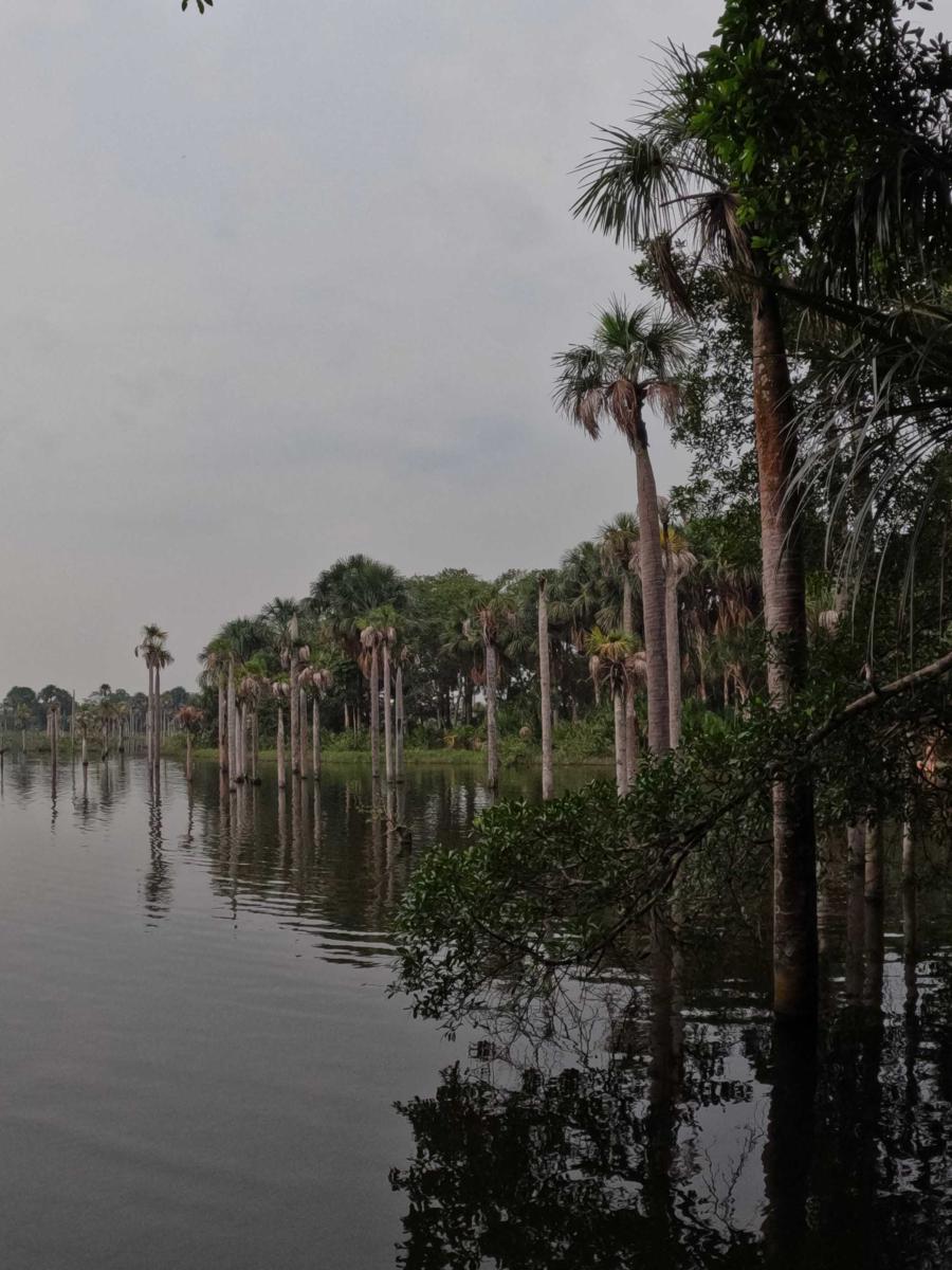 Turismo en Puerto Rico, Meta: lagunas, paisajes y gastronomía