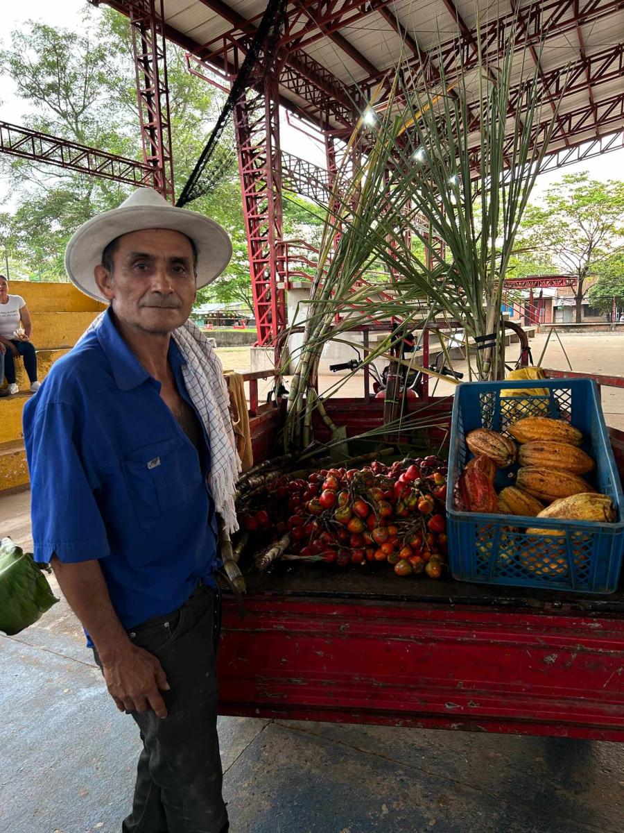 Turismo en Puerto Rico, Meta: lagunas, paisajes y gastronomía