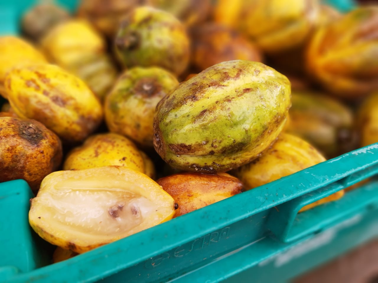Dulce del chilacuan y la mora de El Encano en Pasto