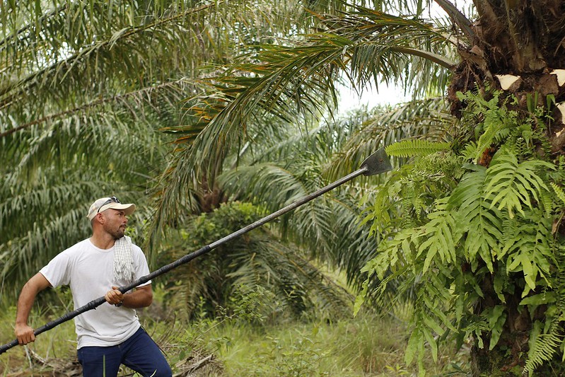 Puerto Gaitán: familias recibieron títulos de predio