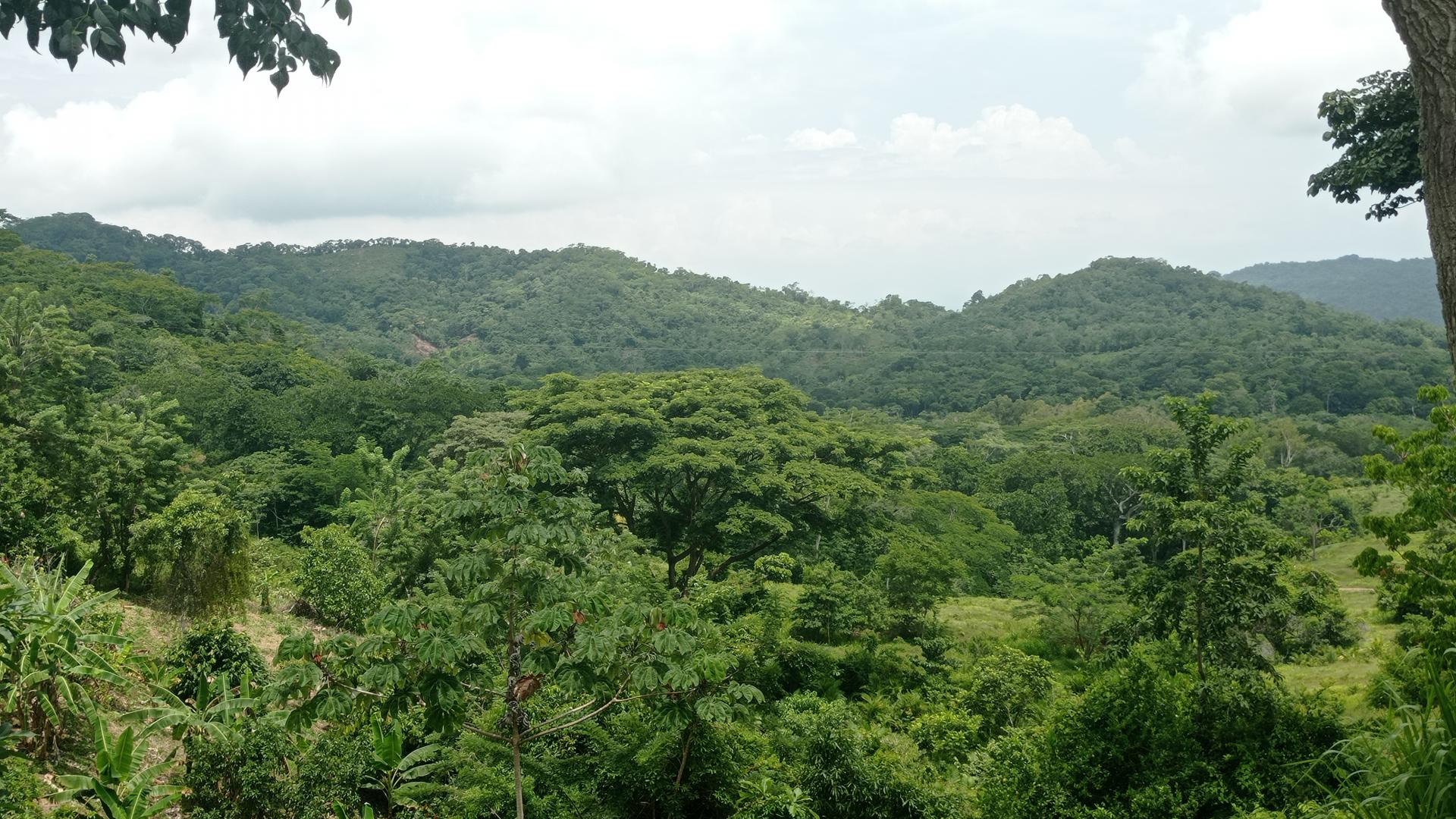 Retorno al bosque seco tropical de los Montes de María
