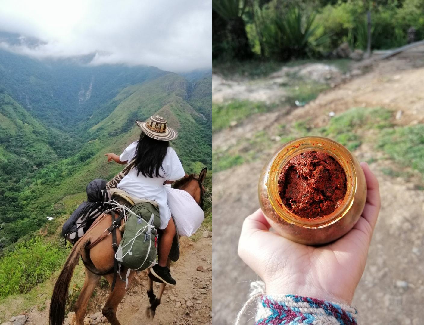 Sierra Nevada de Santa Marta | Una expedición de la gastronomía arhuaca