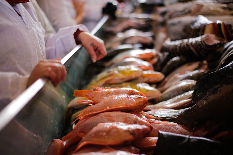 Recomendaciones para el consumo seguro de pescado | Semana Santa