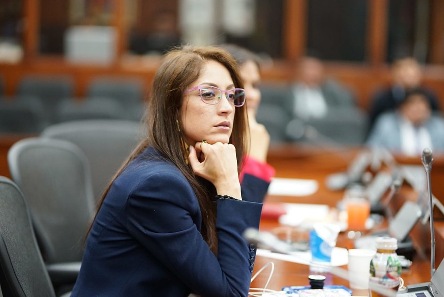 Caso Jennifer Arias: ¿qué implicaciones tendría el presunto plagio?