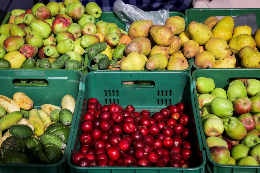 Semana campesina en Tamará, Casanare