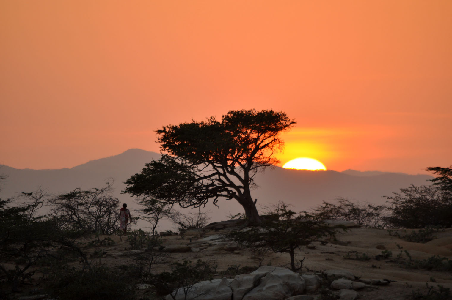 Reabren Parque Nacional Natural Macuira en La Guajira