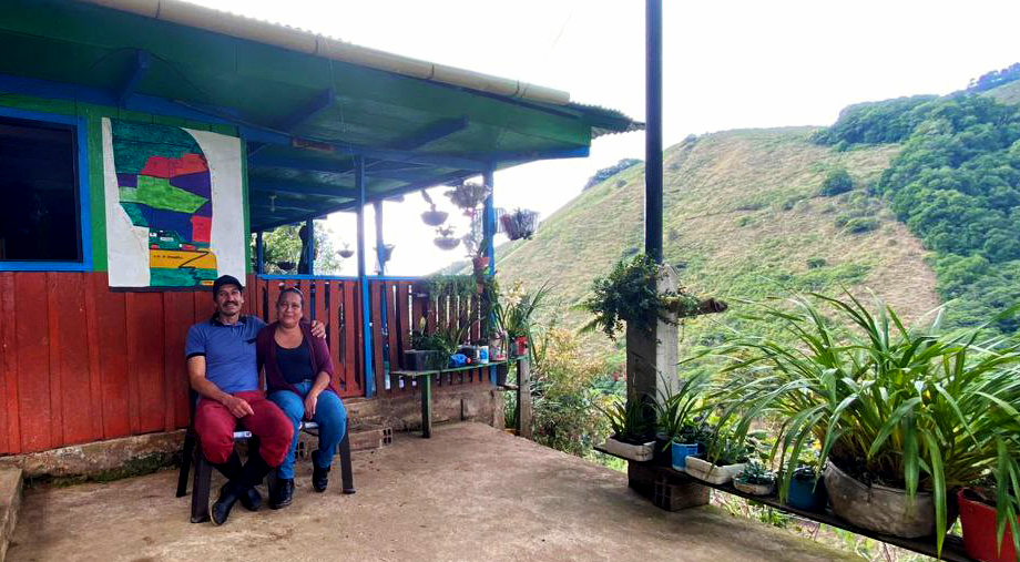 Cómo se siembra uno de los mejores granos de café de Colombia: Tello, Huila