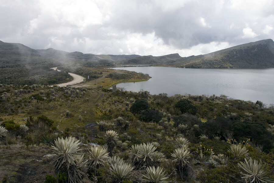 Documental sobre la realidad de los páramos en Colombia | Señal Colombia