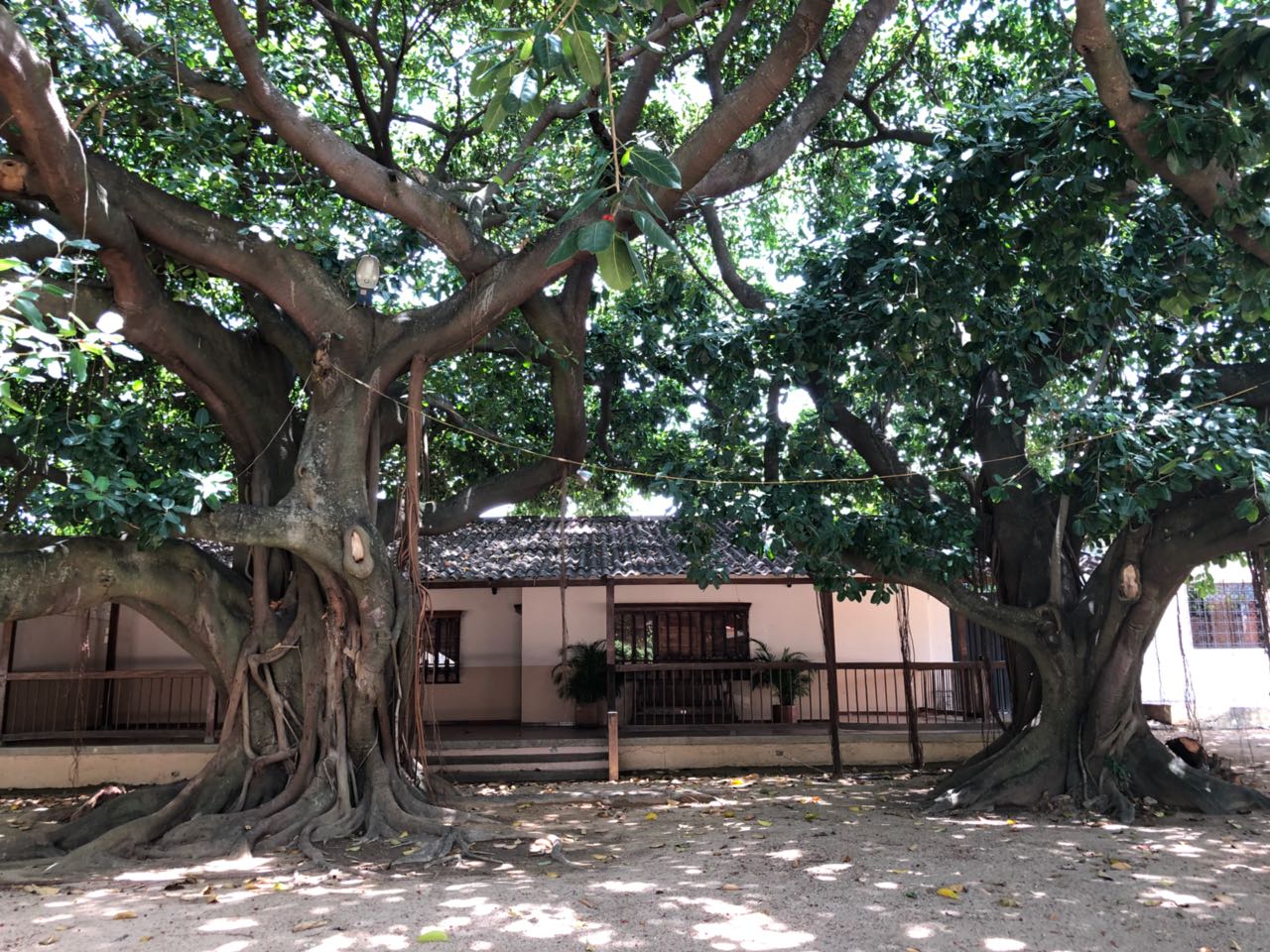 Festival Tierra de Compositores de Patillal en Valledupar