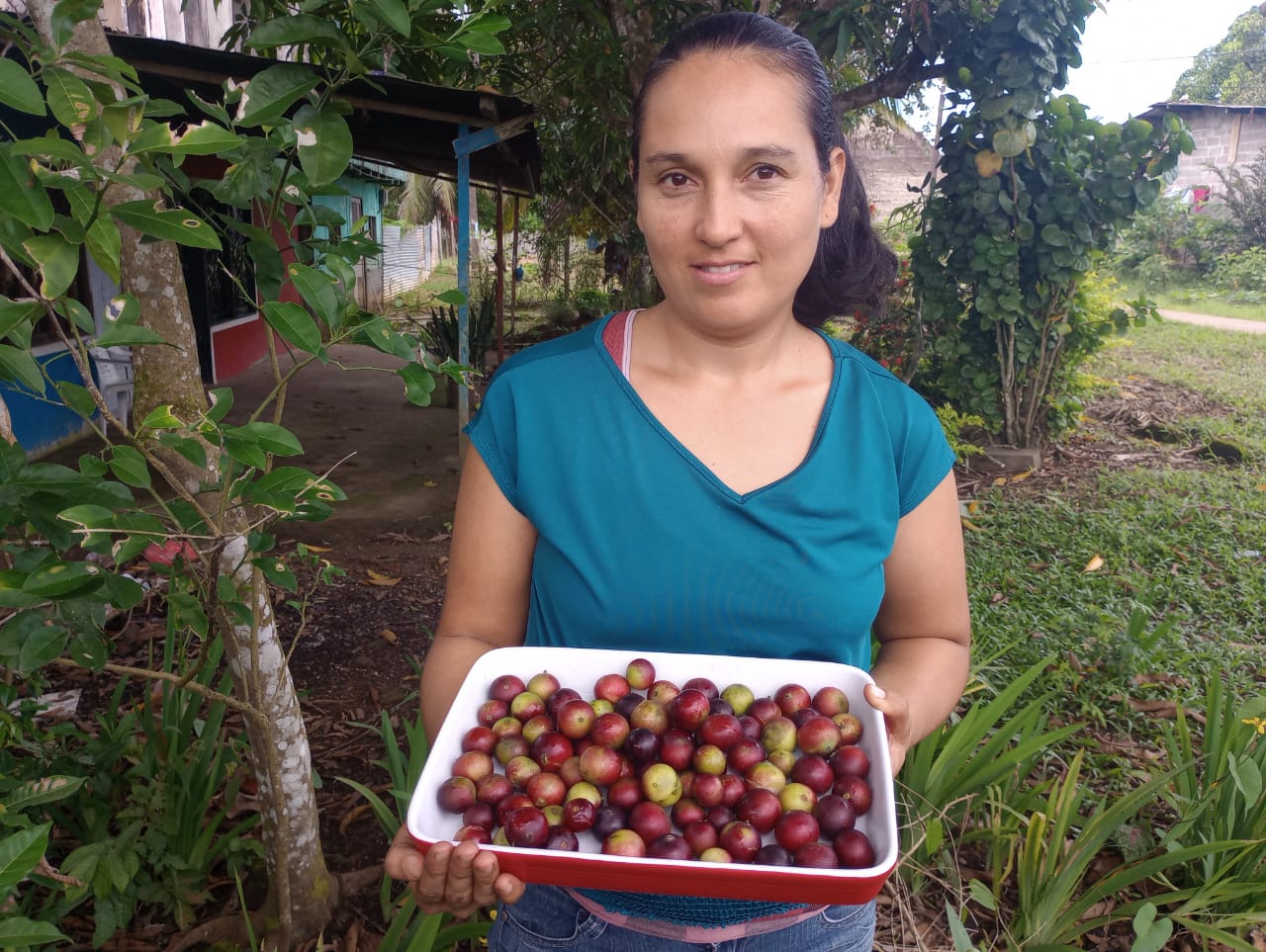 Camu-Camu, fruta Amazonía colombiana: qué es y emprendimientos