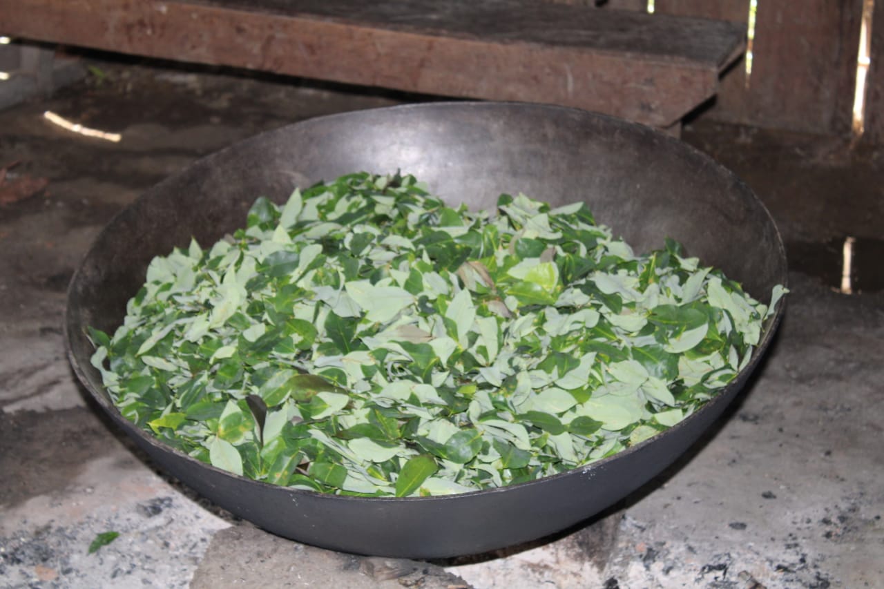 Los Murui Muina en Putumayo y el Mambe como medicina ancestral