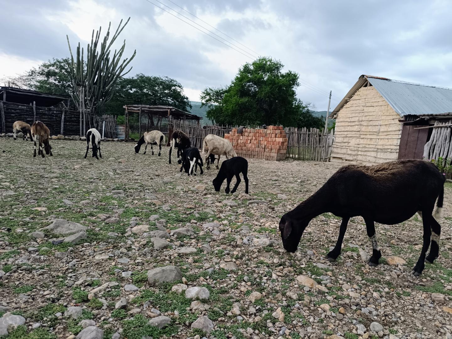 Juyá: el Dios de la lluvia para los Wayuu