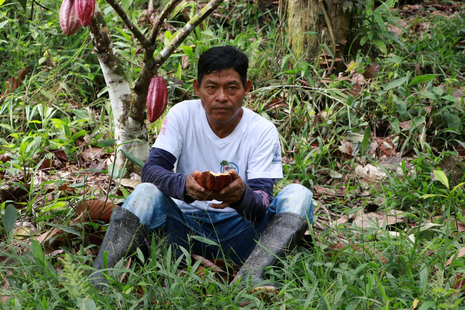 Amazonas Colombia: preservación y saberes indígenas