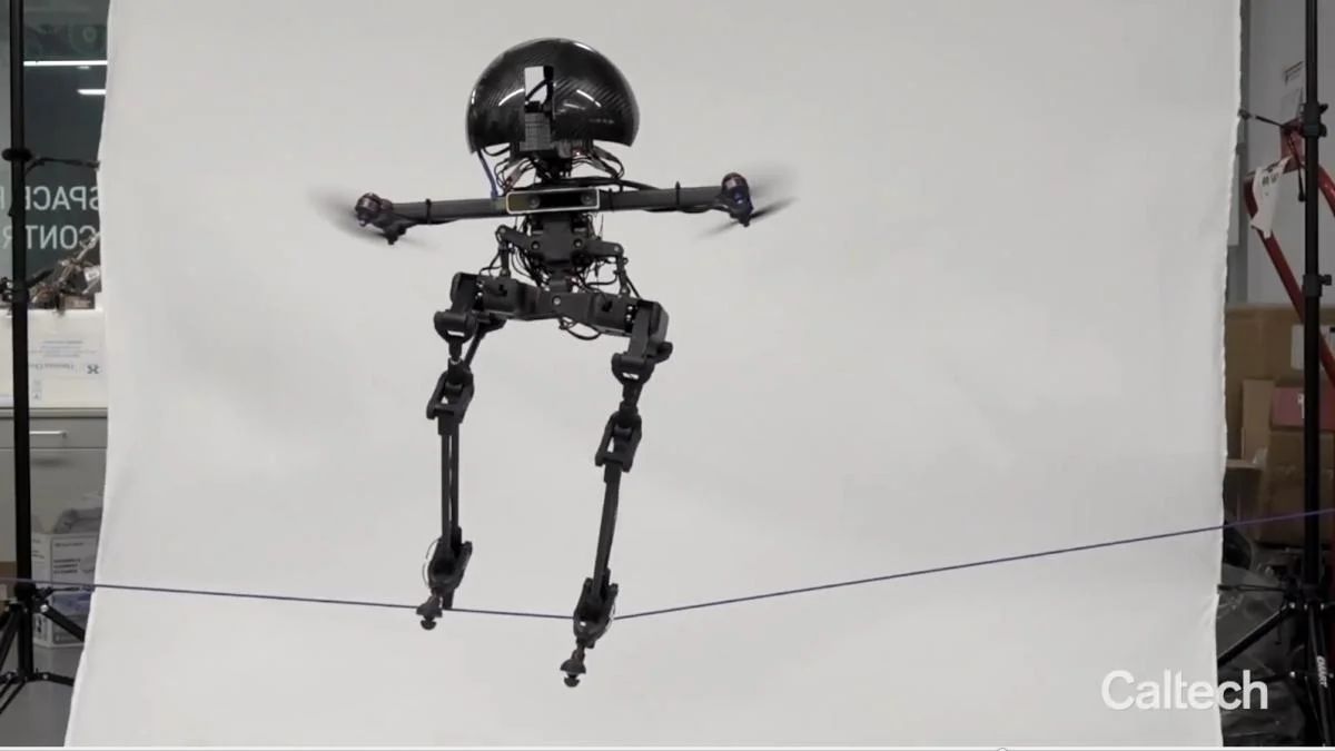 Leonardo, el robot bípedo que camina en la cuerda floja