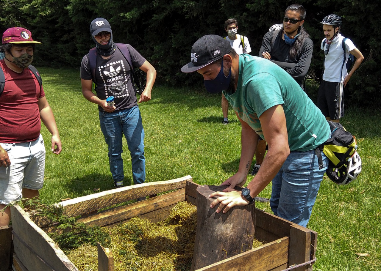 Paca digestora: ¿qué es y como armarla?