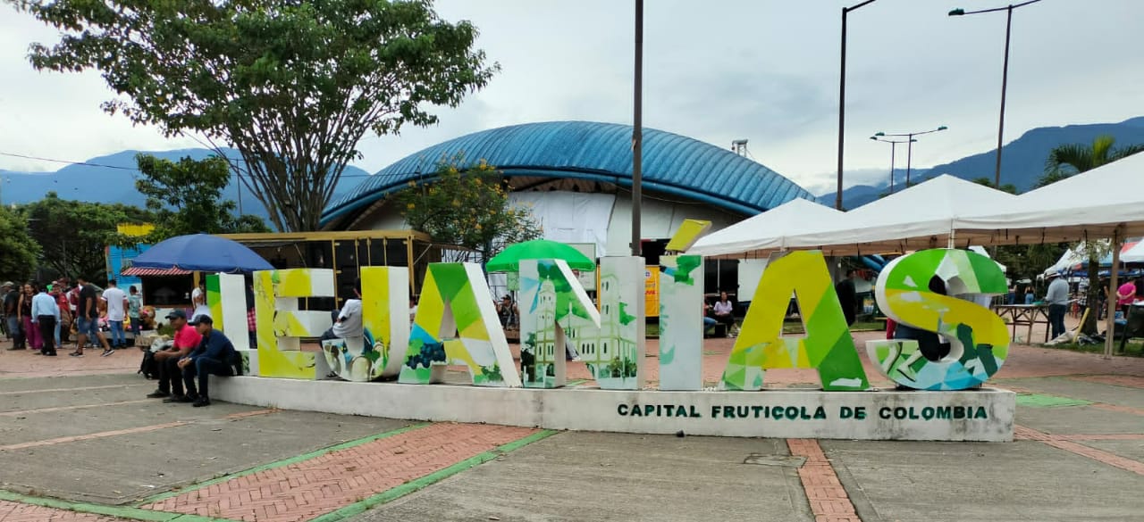 El árbol de Cacay es una especie nativa y alimenticia en Lejanías, Meta.
