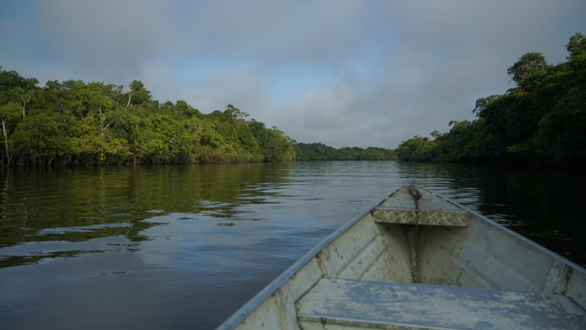 Amazonía colombiana: río Vaupés y su importancia social y ambiental
