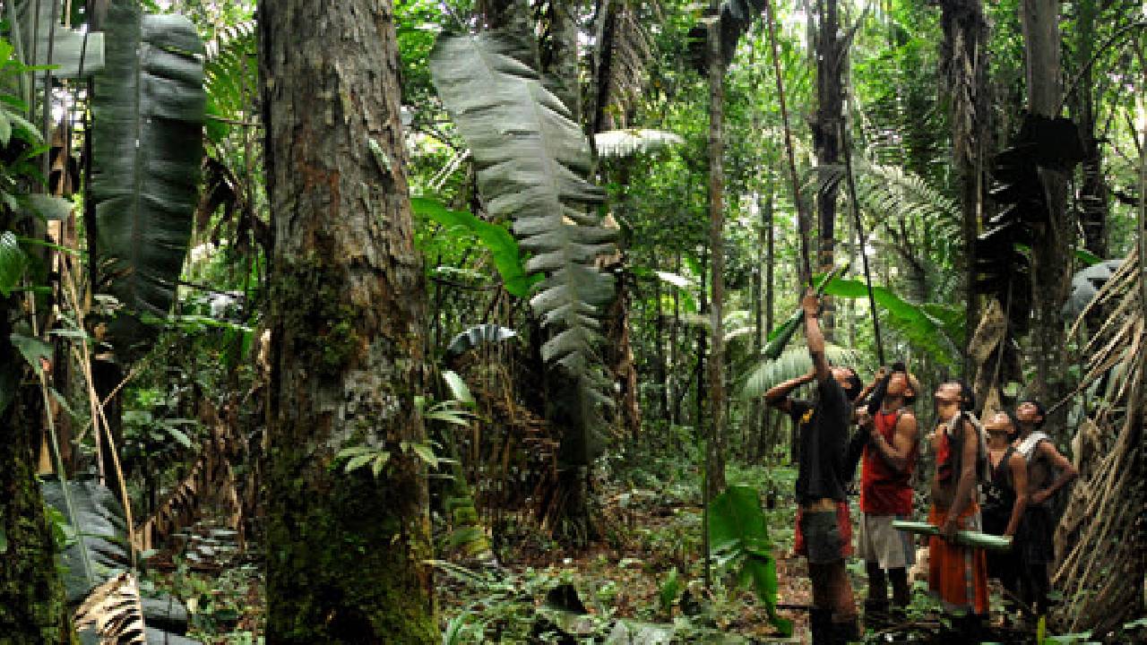 Alerta temprana binacional para proteger al pueblo awá
