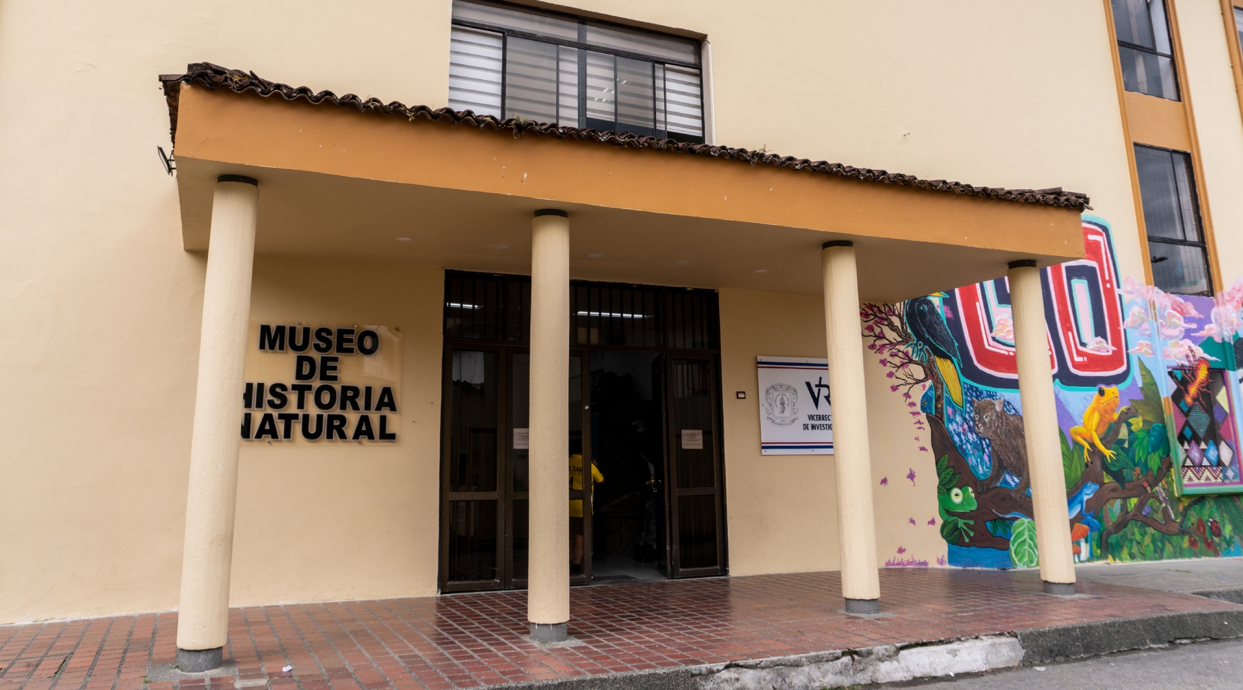 Museo Historia Natural Universidad del Cauca: ubicación e historia