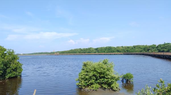 Ecoparque Ciénaga de Mallorquín: horario y recomendaciones | Barranquilla