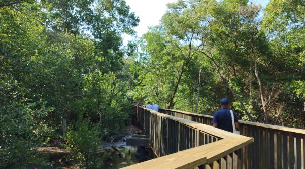 Ecoparque Ciénaga de Mallorquín: horario y recomendaciones | Barranquilla