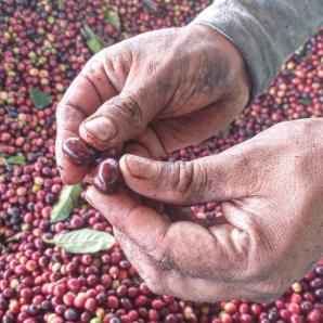 Pusandao, un plato que nace en el Pacífico