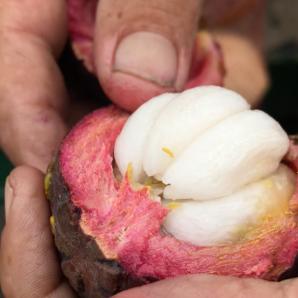 Torta gacho, amasijo de tradición
