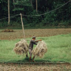 Respeto a la Diversidad cultural: El Camino hacia una Sociedad Justa