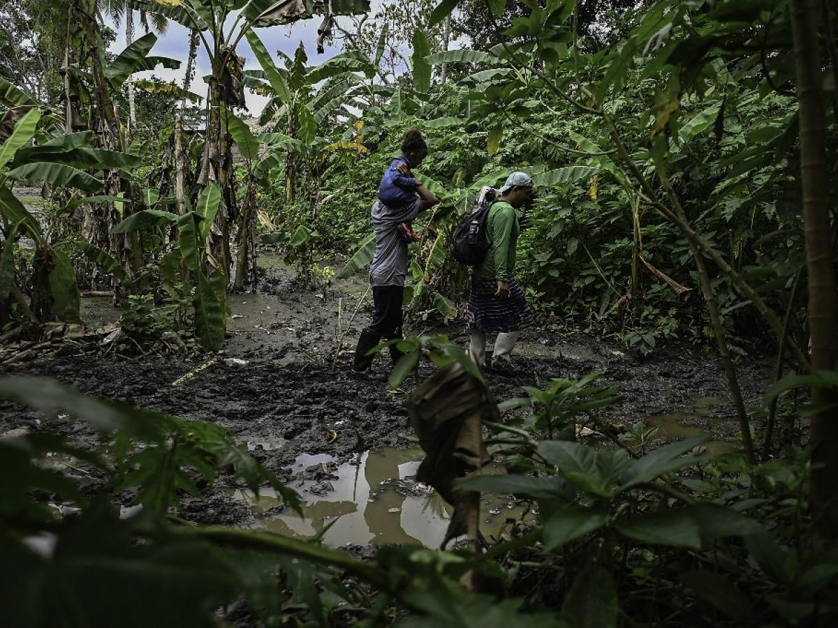 Tapón del Darién: cifra de migrantes que cruzaron se duplicó en 2022