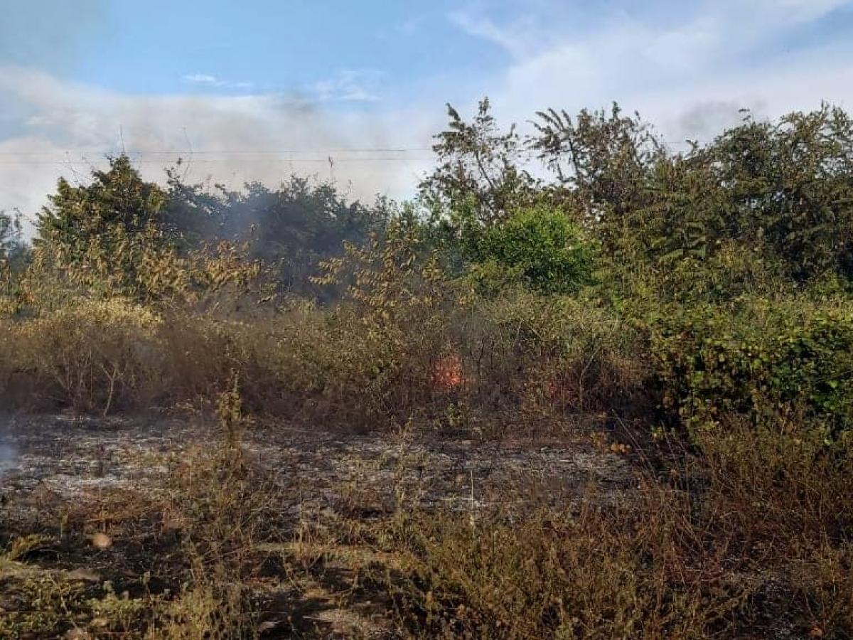 Incendio afectó 67 hectáreas de cobertura vegetal en Neiva, Huila Incendio afectó 67 hectáreas de cobertura vegetal en Neiva, Huila