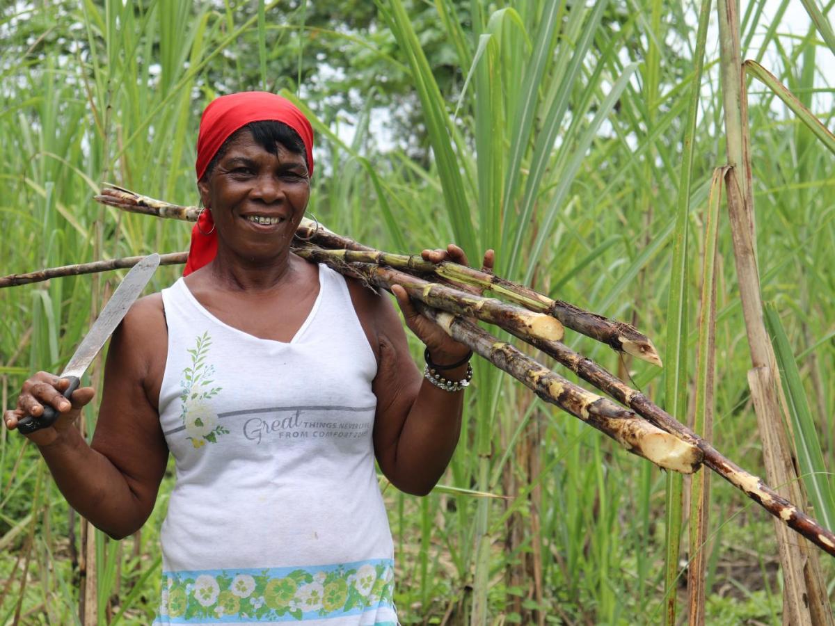 Mujeres campesinas productoras de viche en Bojayá, Chocó