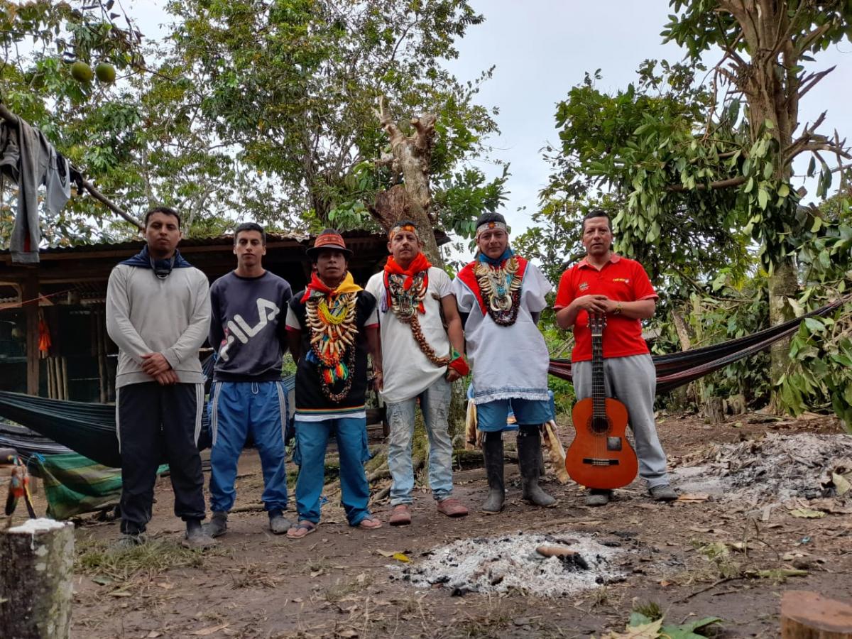 Yagé en peligro: conoce qué es y por qué está en riesgo