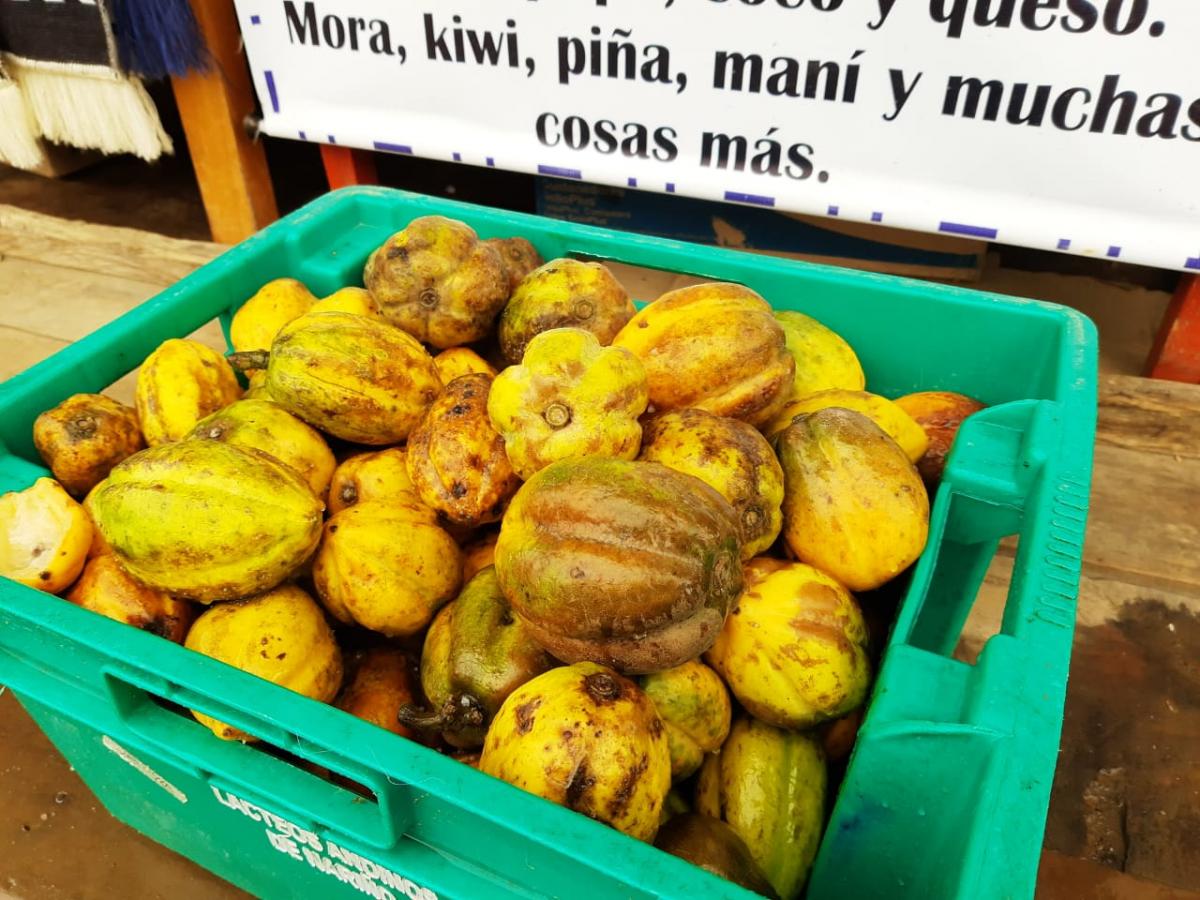 Dulce del chilacuan y la mora de El Encano en Pasto