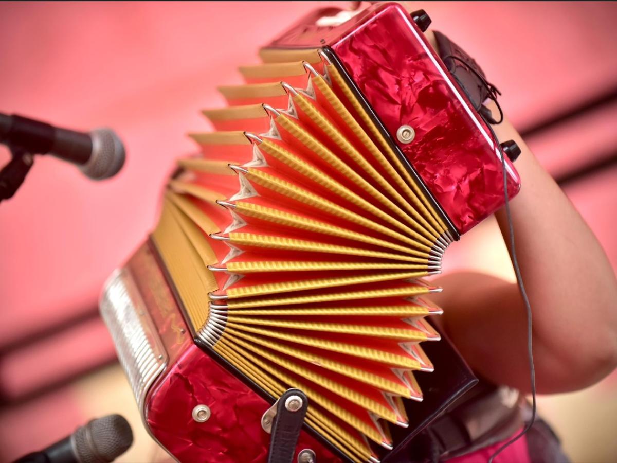 Historia del acordeón en Colombia, Día del Acordeón