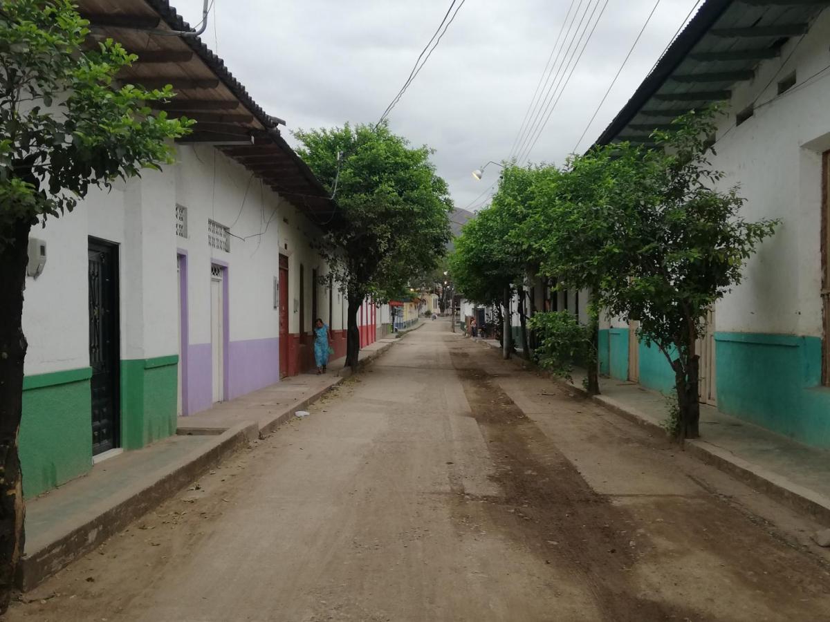 Hallan sin vida a líder indígena nasa en Ataco, Tolima