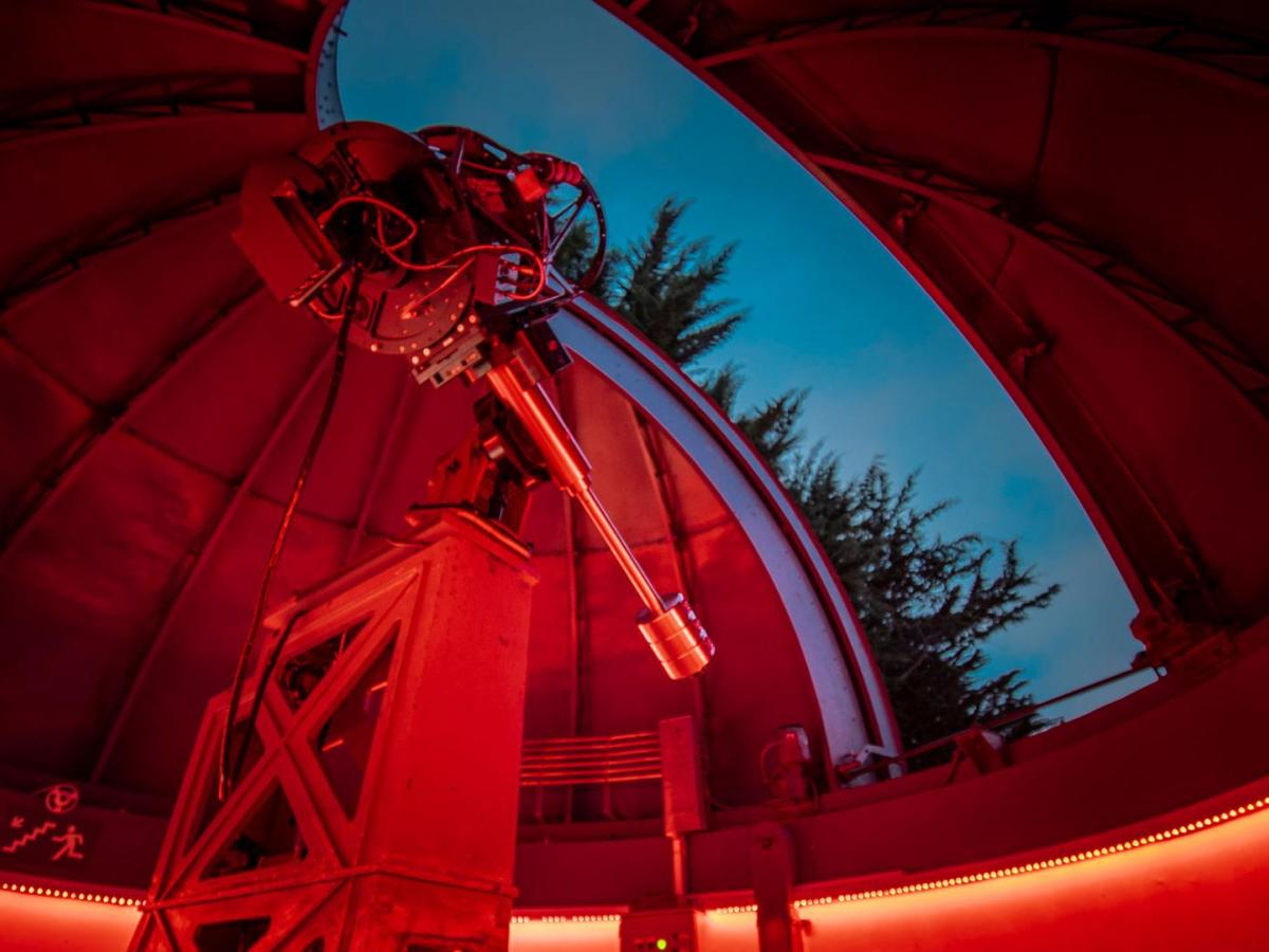 Descubre los fascinantes Museos de la UNAL en Bogotá este Día ...