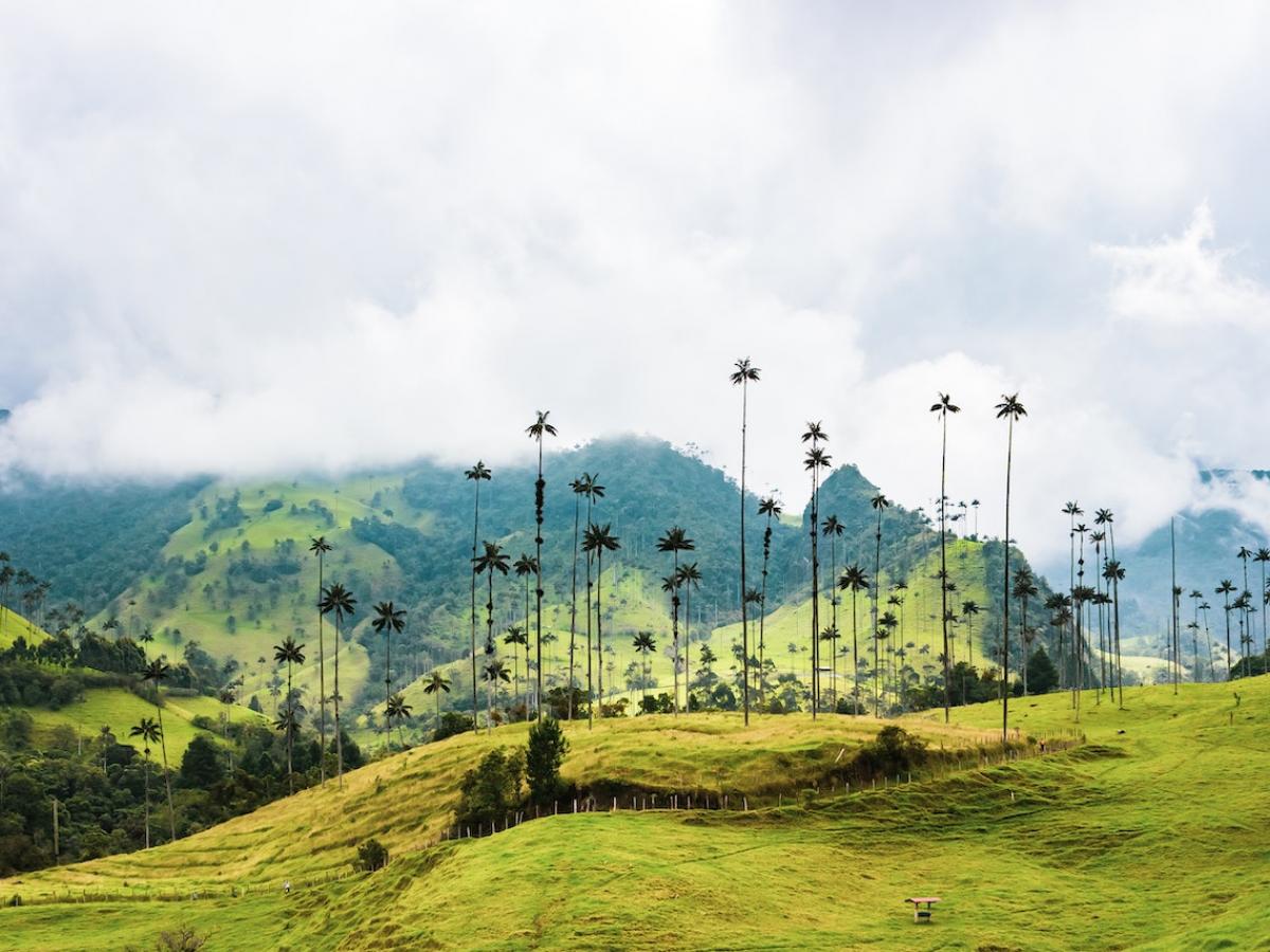 Colombia y su diversidad cultural Parte 02