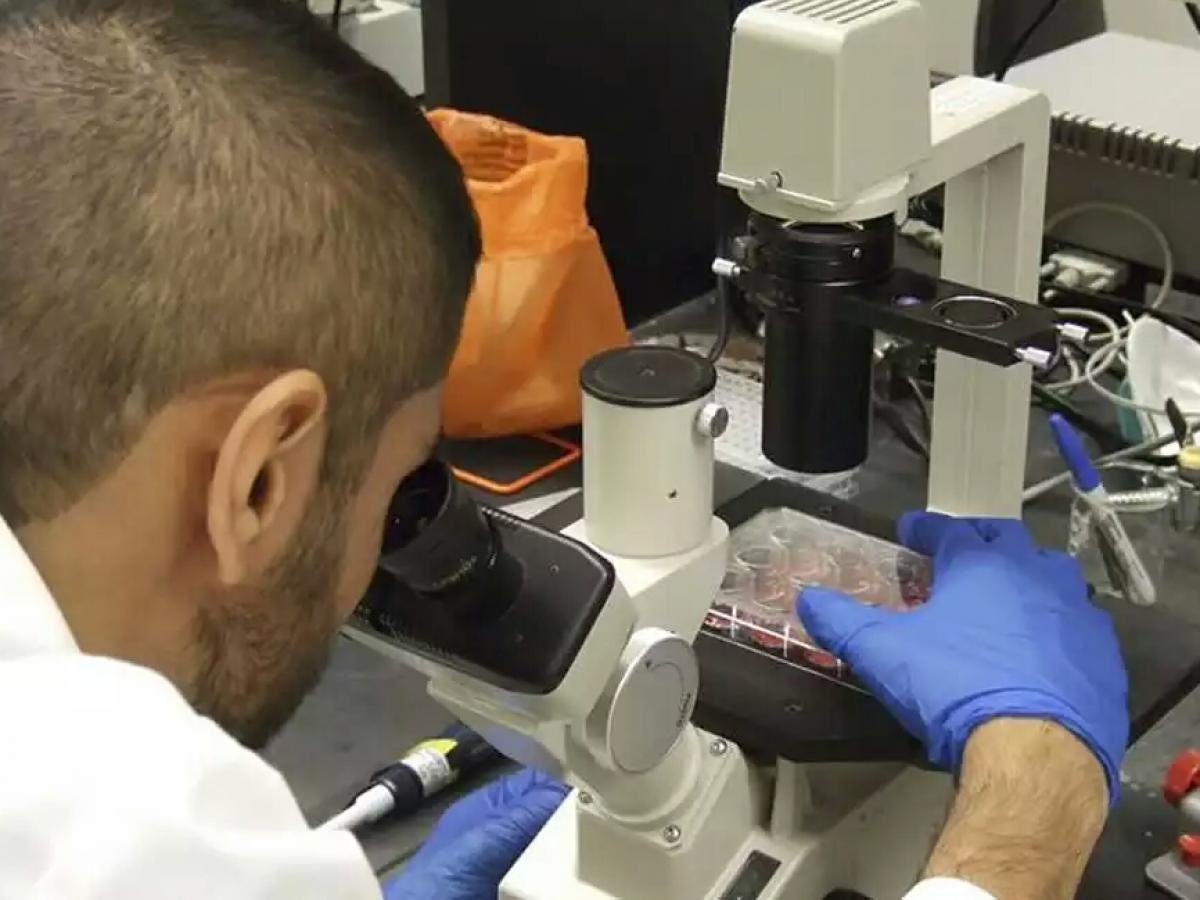 Señal Mundo: Así va el planeta hoy jueves 6 de Noviembre | Radio Nacional