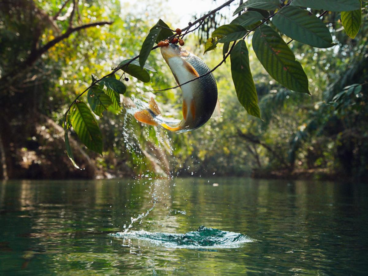 Programas de Discovery Channel en la pantalla de Señal Colombia