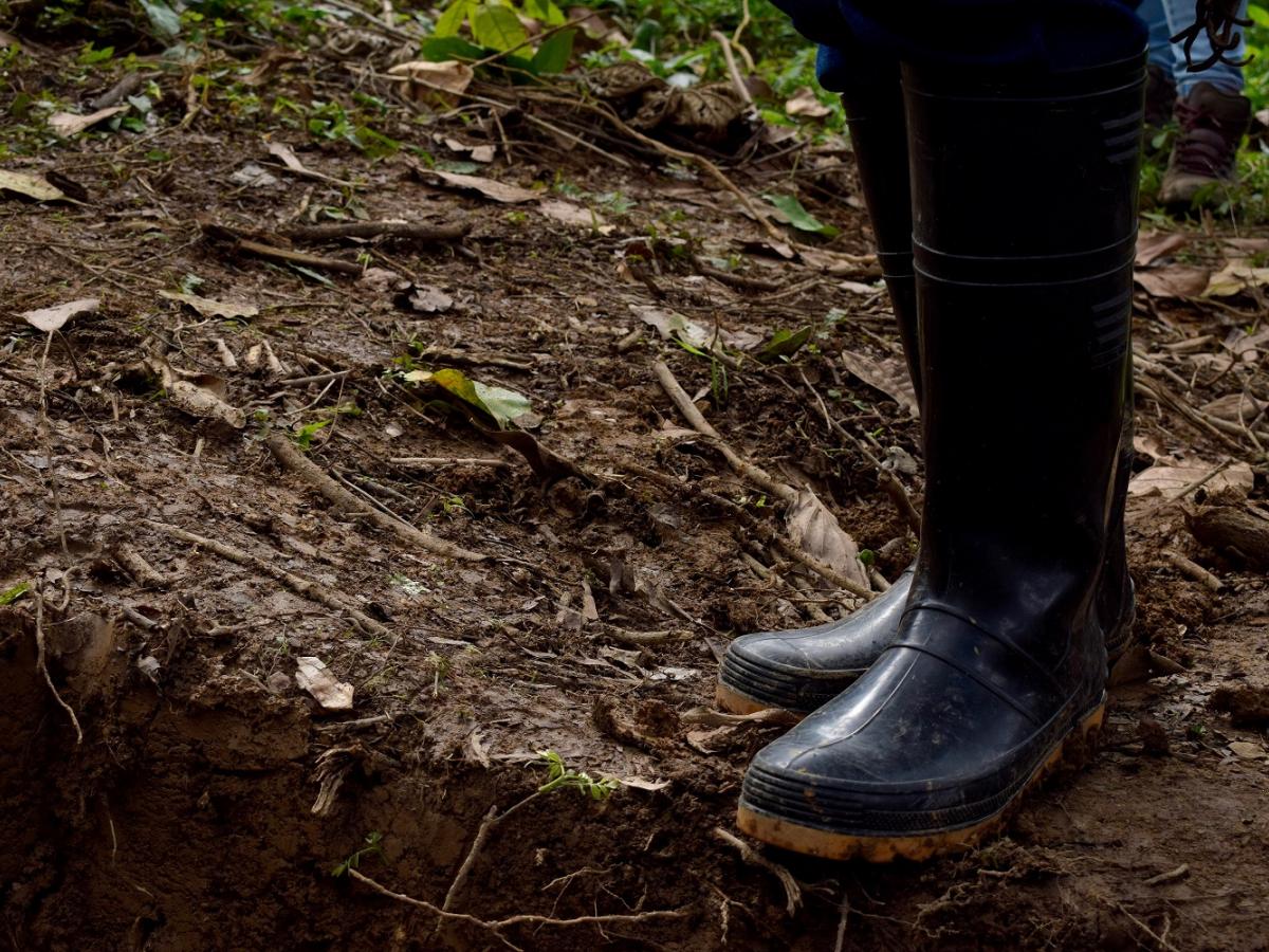 Cinco años viviendo con las Farc: historia de un joven que fue ...