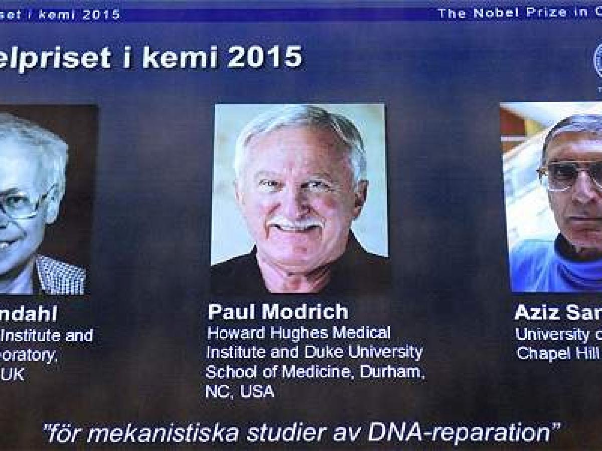 Señal mundo: así va el planeta hoy 7 de octubre | Radio Nacional