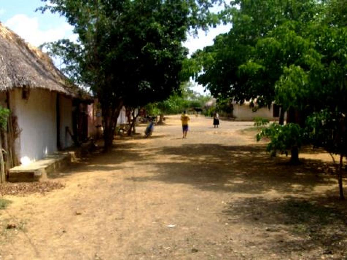 Desmienten afectación de 600 personas por virus en Mahates, Bolívar ...