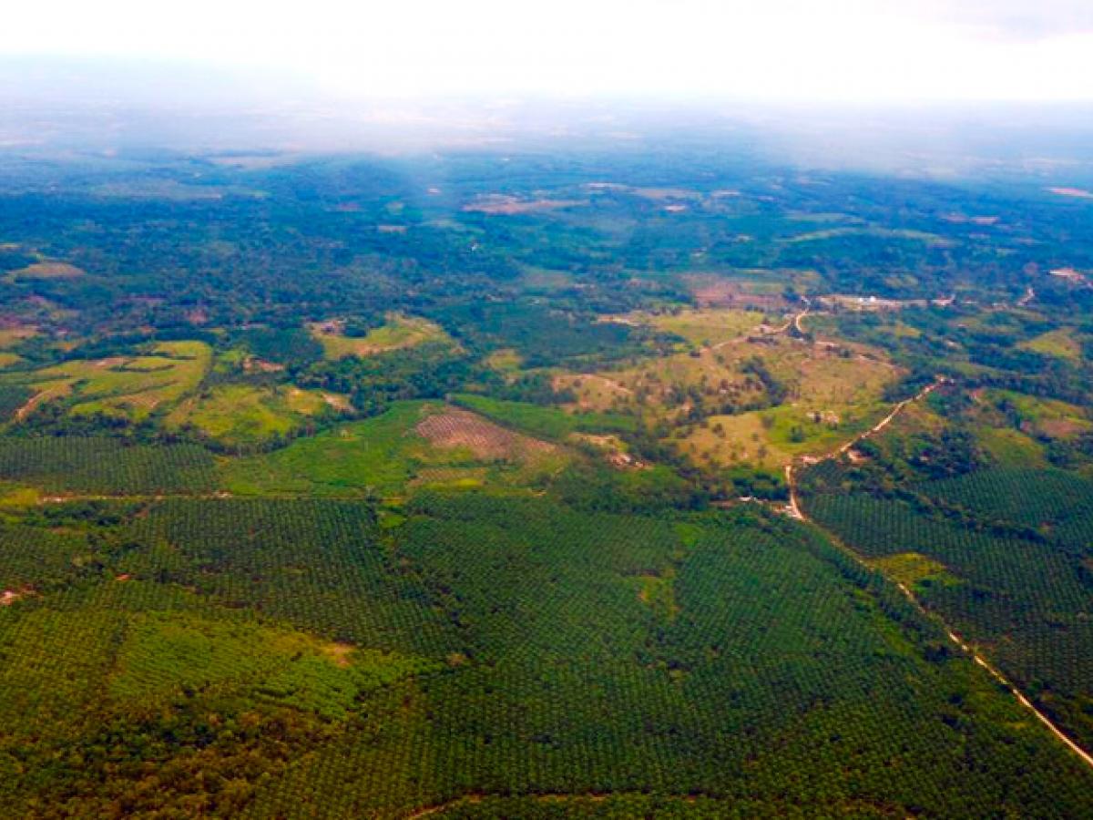 Hechos de violencia mantienen en alerta a la región del Catatumbo